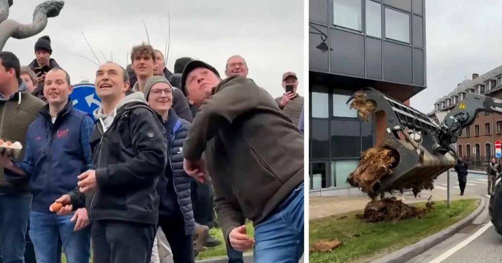 ইইউ পার্লামেন্টে ডিম-পাথর নিক্ষেপ করে কৃষকদের বিক্ষোভ