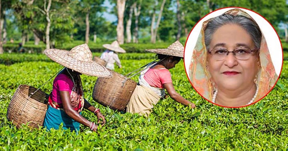 প্রধানমন্ত্রীর সঙ্গে ভিডিও কনফারেন্স যুক্ত হবেন চা শ্রমিকেরা