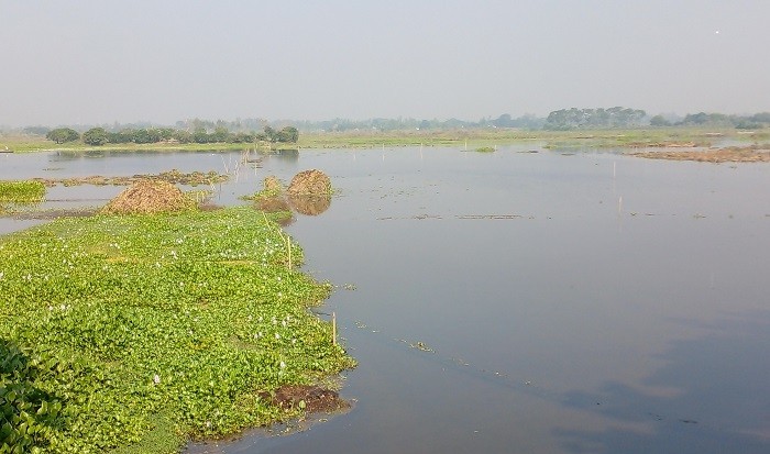 ধান চাষের প্রস্তুতি, জলাবদ্ধতায় কৃষকের কপালে দুশ্চিন্তার ভাঁজ